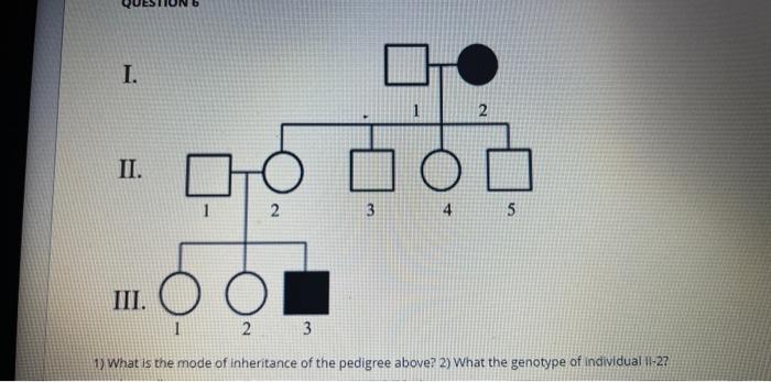 Solved 1) What is the mode of inheritance of the pedigree | Chegg.com