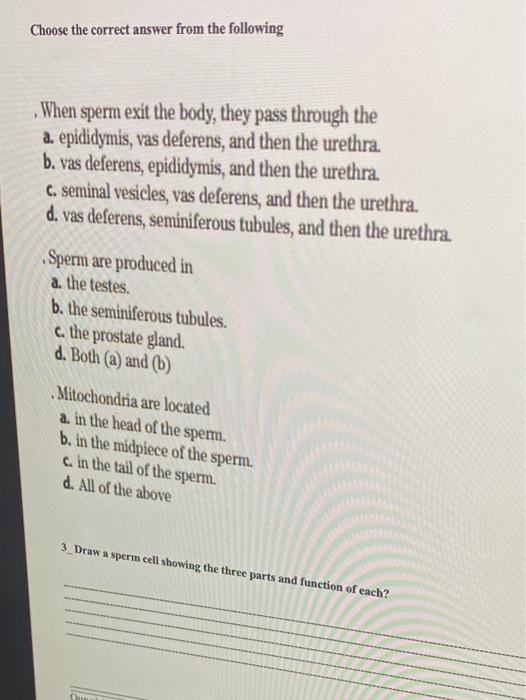 Solved Male reproductive system Would you like to test your | Chegg.com