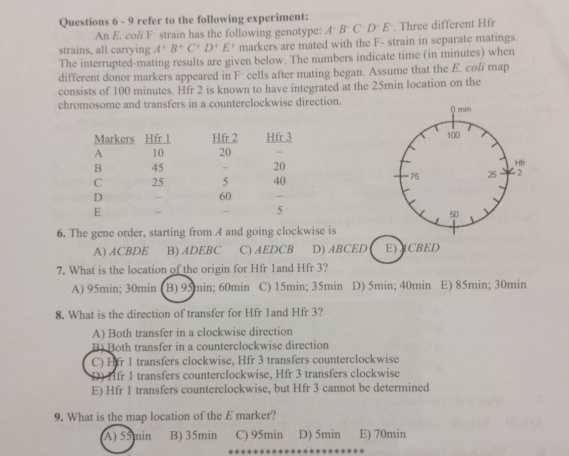 Solved Questions 6 - 9 ﻿refer to the following experiment:An | Chegg.com