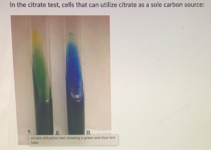 Solved Observe the methyl red tests here. Not Inoculated | Chegg.com