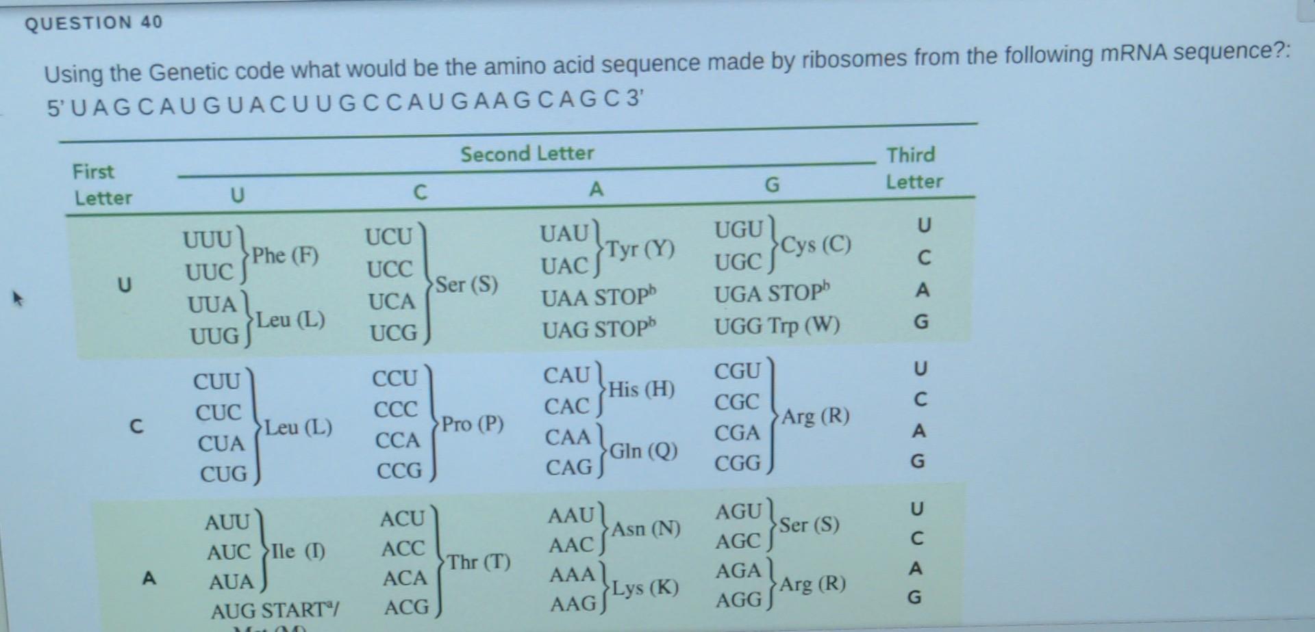 Solved QUESTION 35 If a tRNA has an anticodon sequence of | Chegg.com