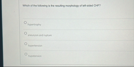 Solved Which of the following is the resulting morphology of | Chegg.com