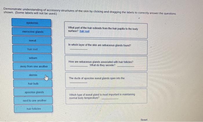Solved Demonstrate understanding of accessory structures of | Chegg.com