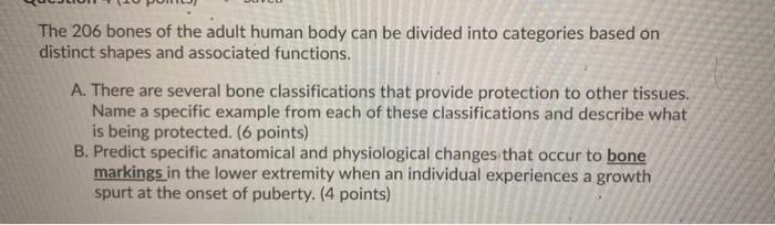 Solved The 206 bones of the adult human body can be divided | Chegg.com