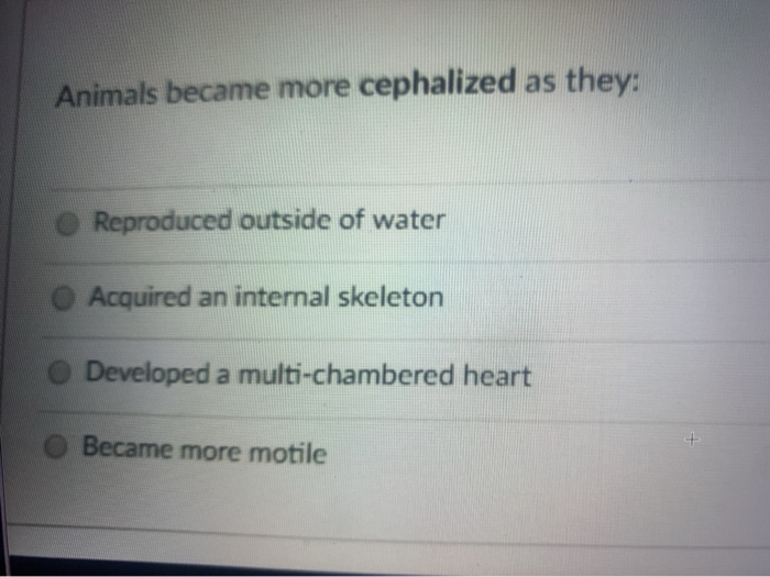 Solved Animals became more cephalized as they: Reproduced | Chegg.com