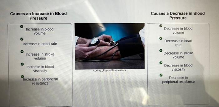 Solved determine if the factors cause an increase or | Chegg.com