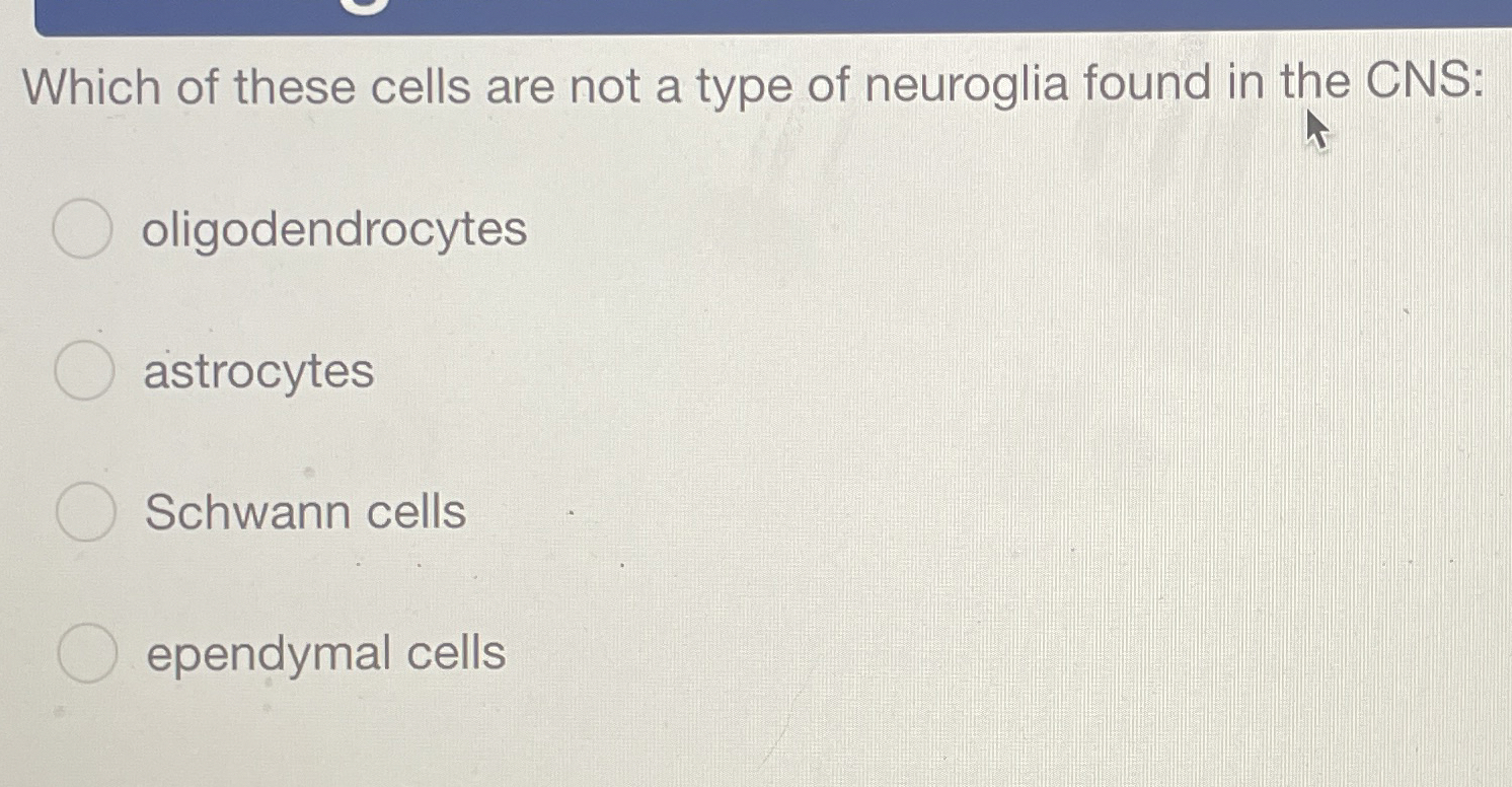 Solved Which of these cells are not a type of neuroglia | Chegg.com
