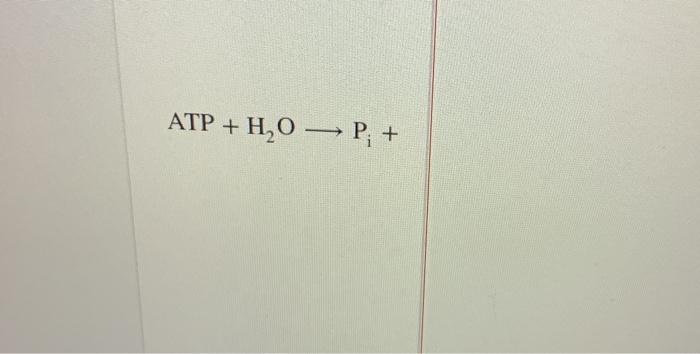 Solved Modify adenosine triphosphate (ATP) to give the | Chegg.com