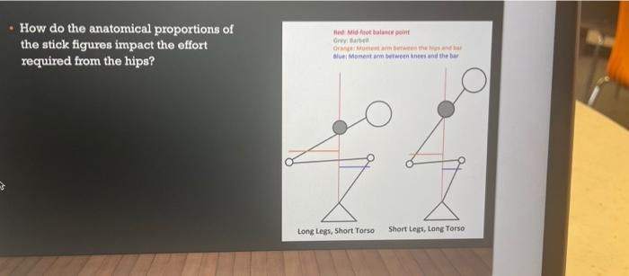 Solved • How do the anatomical proportions of the stick | Chegg.com