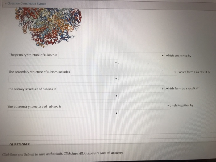 Solved Question Completion Status: The primary structure of | Chegg.com