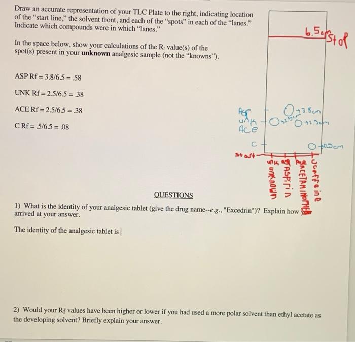 Solved Draw an accurate representation of your TLC Plate to | Chegg.com