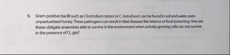 Solved Gram positive bacilli such as Clostridium tefani or C | Chegg.com