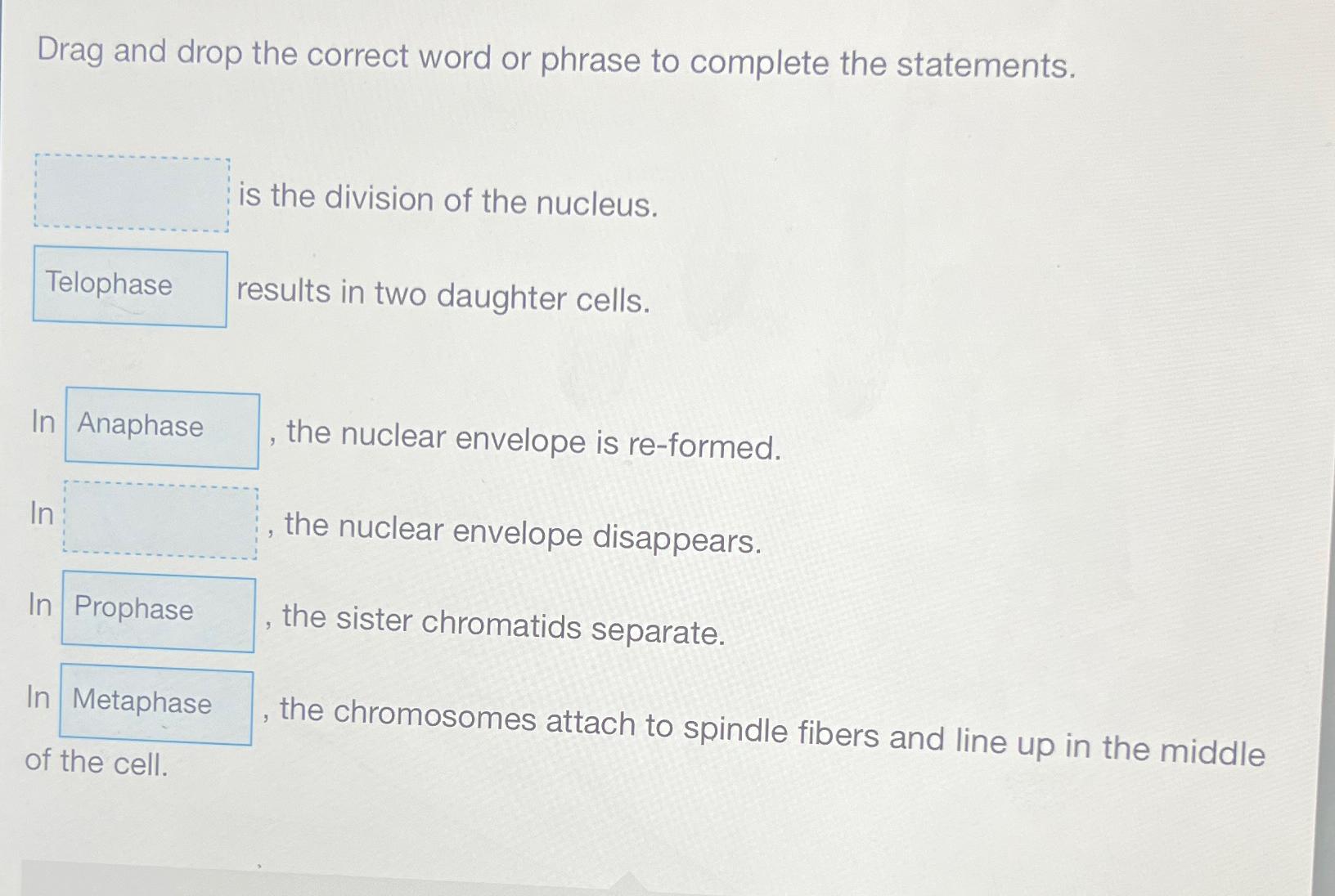 Solved Drag and drop the correct word or phrase to complete | Chegg.com