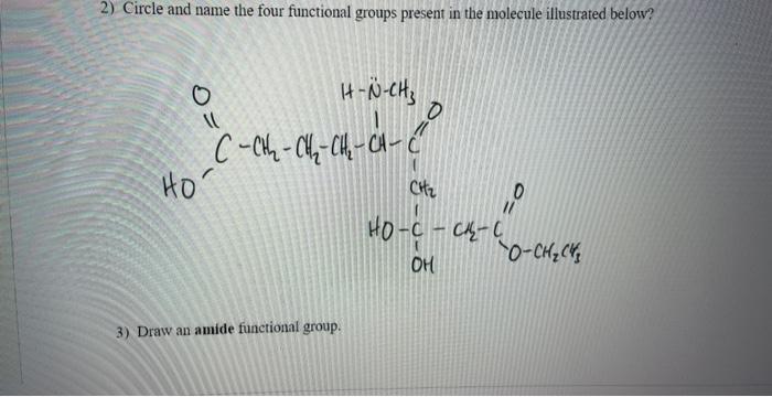 Solved Circle and name the four functional groups present in | Chegg.com