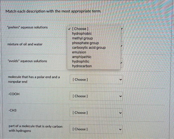 Solved Match each description with the most appropriate | Chegg.com