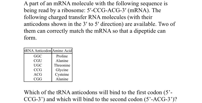 Solved 11) In a triploid cell with 4 chromosome triplets (3n | Chegg.com