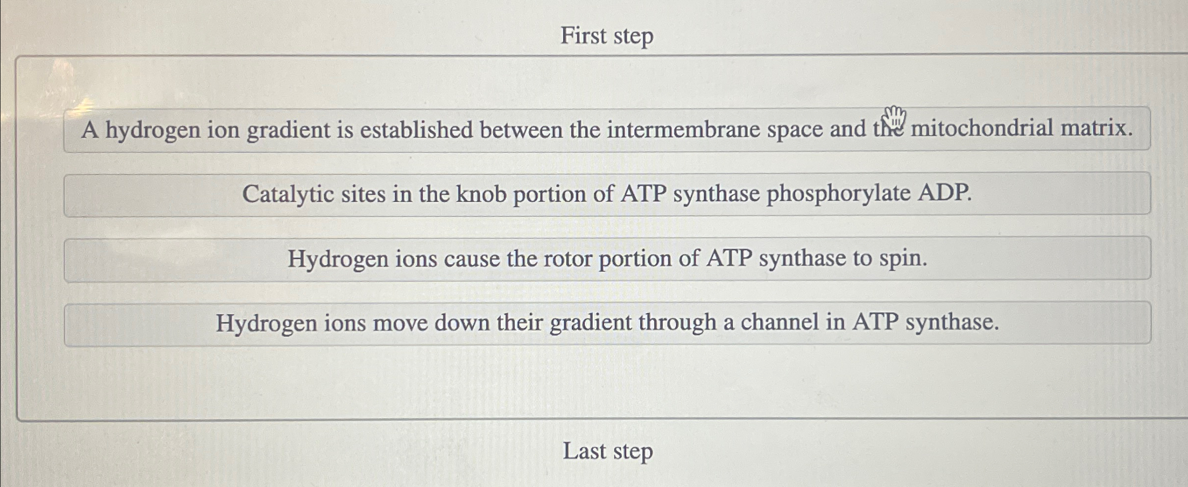 Solved First stepA hydrogen ion gradient is established | Chegg.com