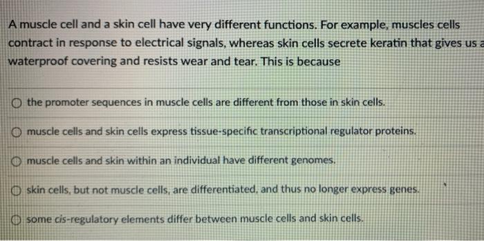 Solved A muscle cell and a skin cell have very different | Chegg.com
