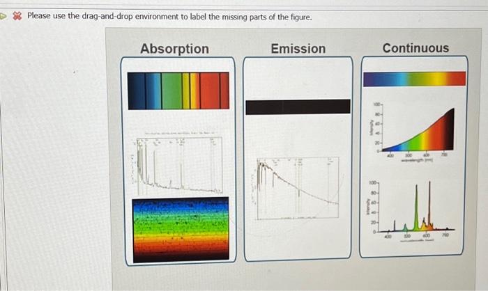 Solved Please use the drag-and-drop environment to label the | Chegg.com
