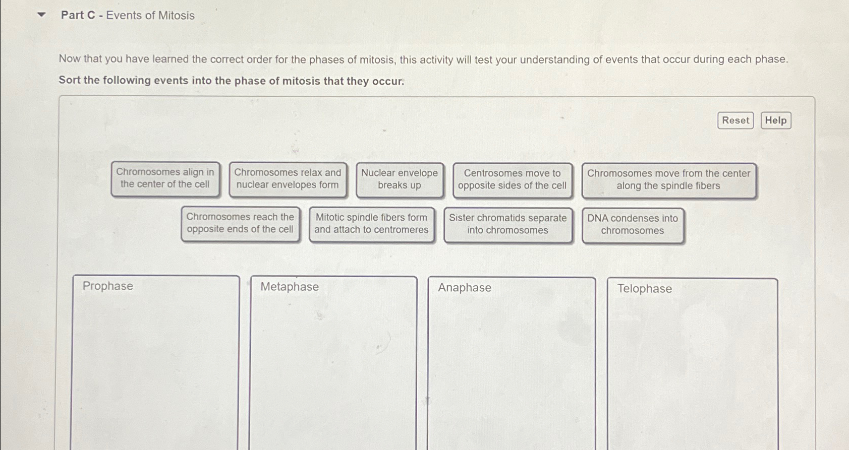 Solved Part C - ﻿Events of MitosisNow that you have learned | Chegg.com