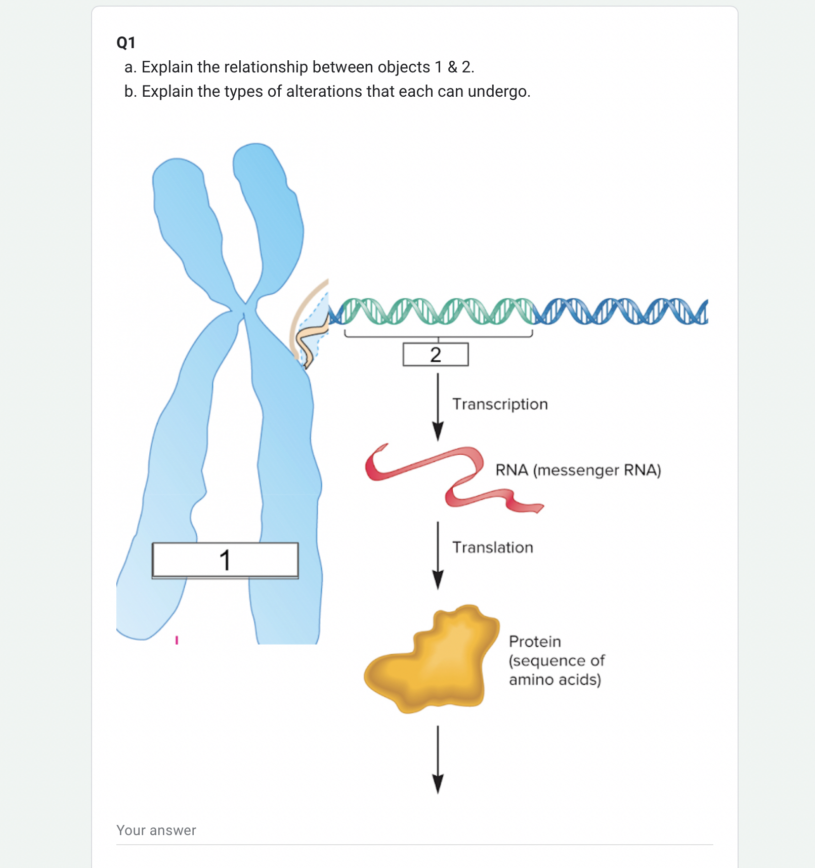 Solved Q1a. ﻿Explain the relationship between objects 1&2.b. | Chegg.com
