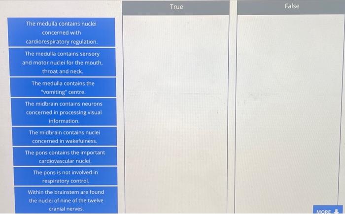 Solved Categorize the following statements regarding the | Chegg.com