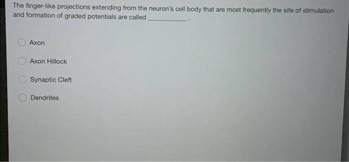 Solved The finger-like projections extending from the | Chegg.com
