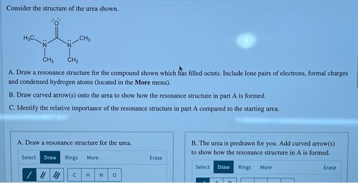 Solved Consider the structure of the urea shown. HgC CH3 CH | Chegg.com