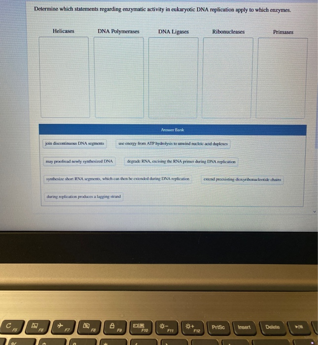 Solved Determine which statements regarding enzymatic | Chegg.com