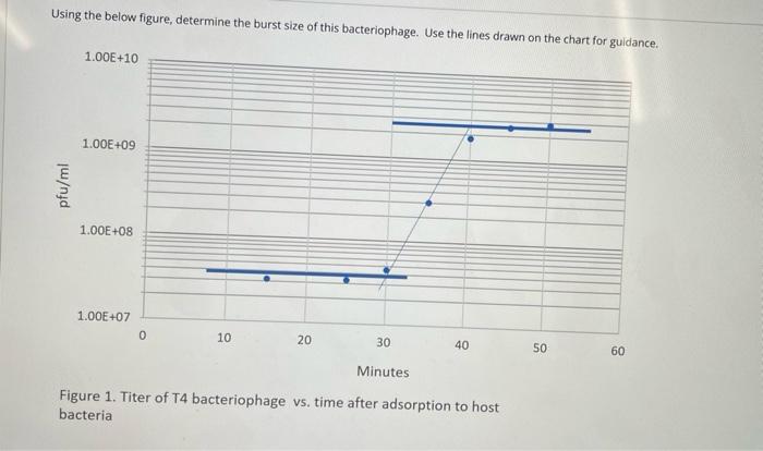 Solved Using the below figure, determine the burst size of | Chegg.com