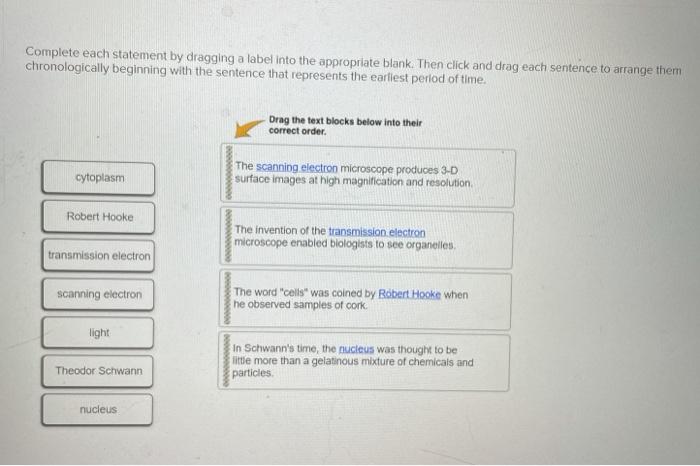 Solved Complete each statement by dragging a label into the | Chegg.com