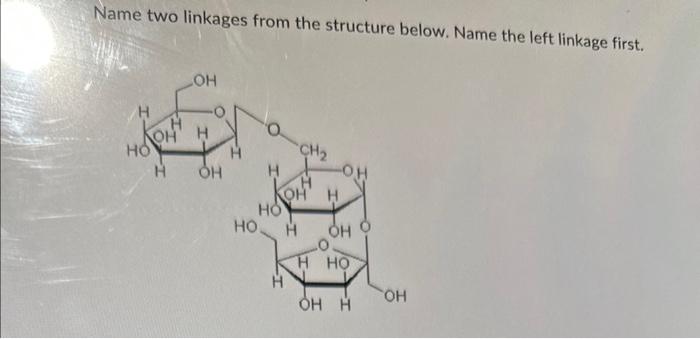 Solved Name two linkages from the structure below. Name the | Chegg.com