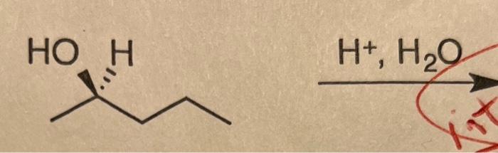 Solved Draw the mechanisms for the reaction. | Chegg.com