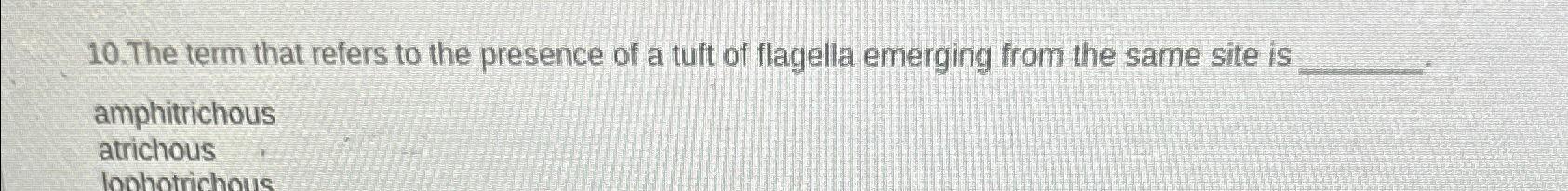 Solved The term that refers to the presence of a tuft of | Chegg.com