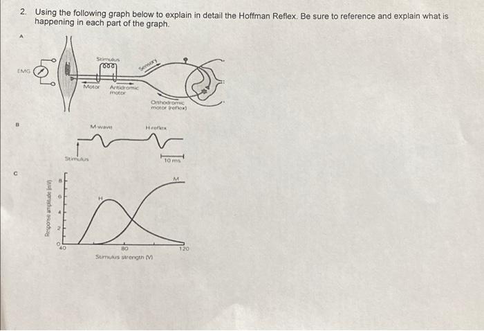 Solved 2. Using the following graph below to explain in | Chegg.com