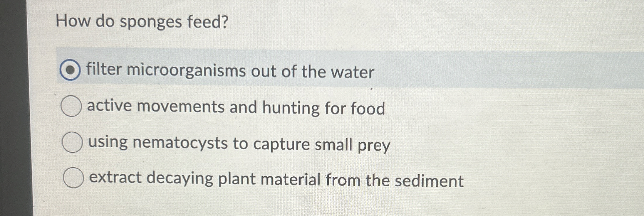 Solved How do sponges feed?filter microorganisms out of the | Chegg.com