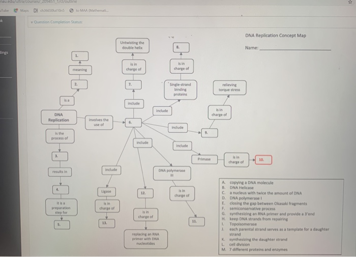 Solved nau.edu/ultra/courses 203451_outine Tube Maps D10 to | Chegg.com