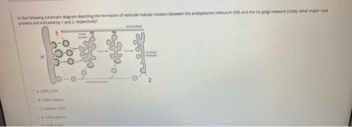 Solved In the following schematic diagram depicting the | Chegg.com