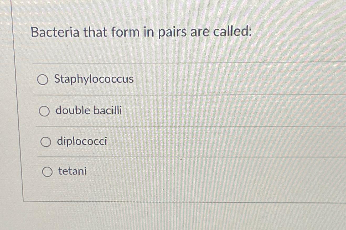 Solved Bacteria that form in pairs are | Chegg.com