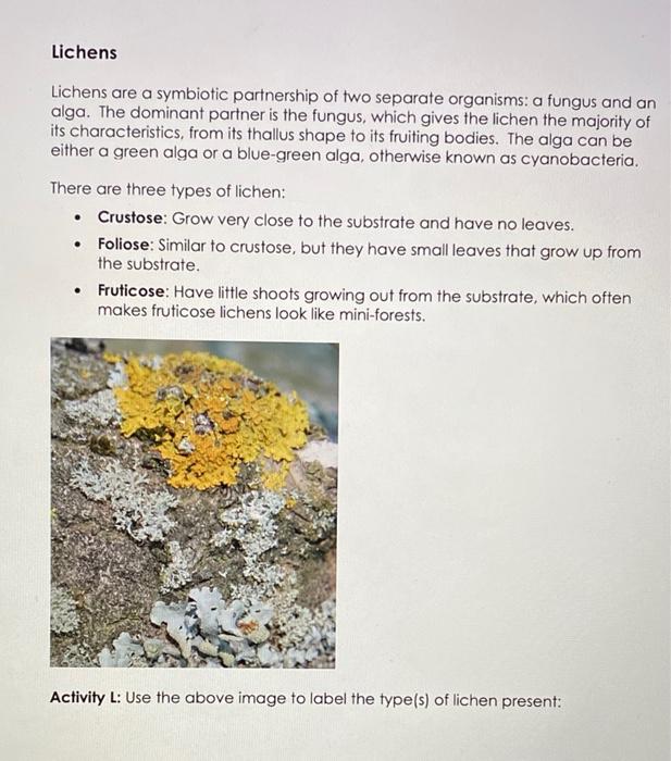 Solved Lichens Lichens are a symbiotic partnership of two | Chegg.com