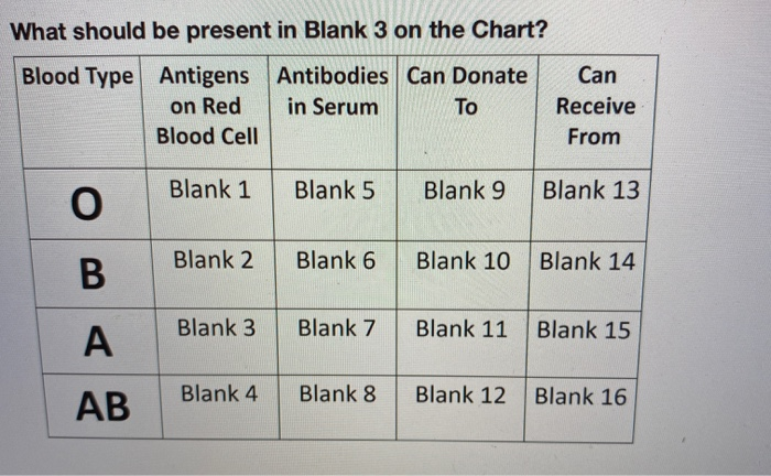 Solved What should be present in Blank 4 on the Chart? Blood | Chegg.com