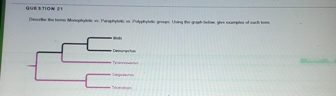 Solved QUESTION 21 Describe the terms Monophyletic vs. | Chegg.com