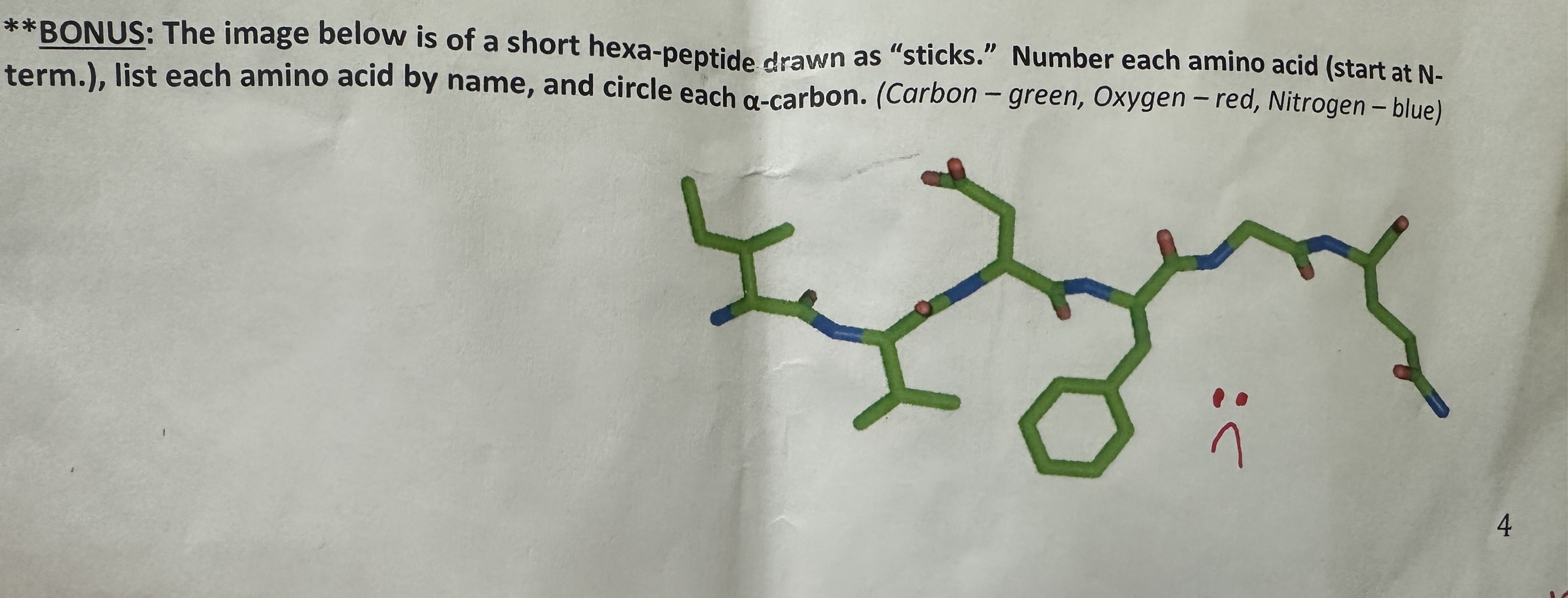 Solved **BONUS: The image below is of a short hexa-peptide | Chegg.com