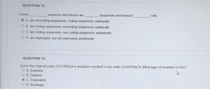Solved Exons sequence and introns are sequences and found in | Chegg.com