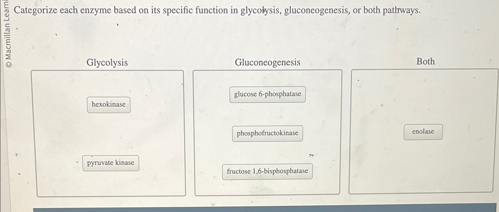 Solved Categorize each enzyme based on its specific function | Chegg.com