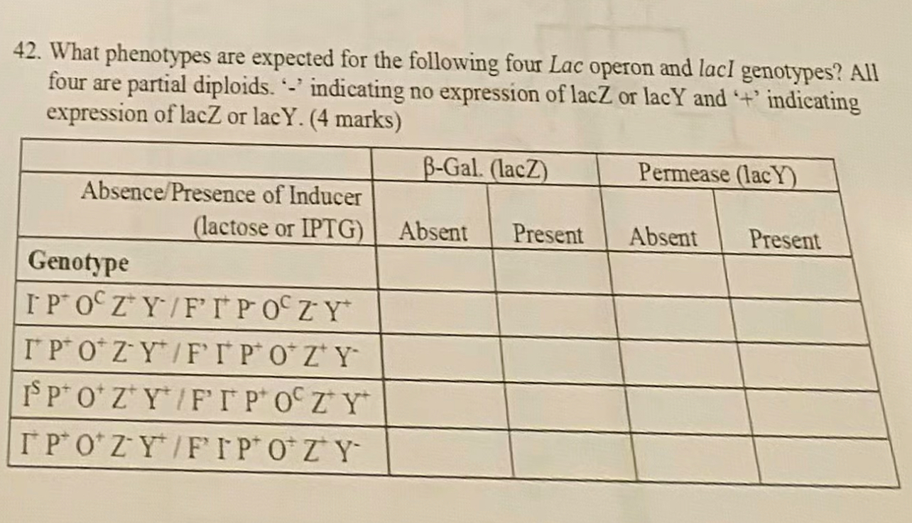 Solved What phenotypes are expected for the following four | Chegg.com