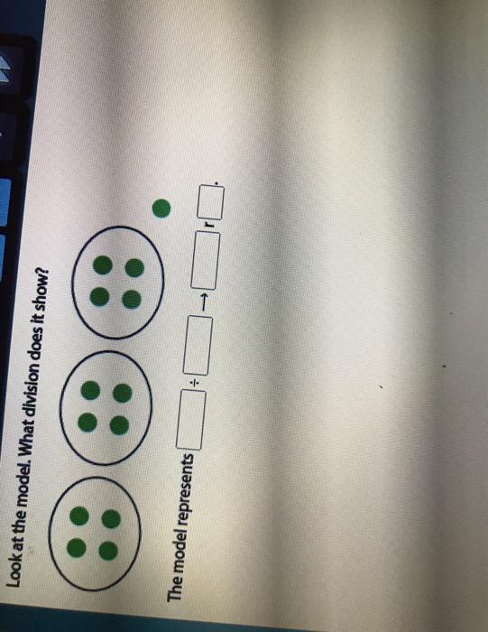 Solved Look at the model. What division does it show? The | Chegg.com