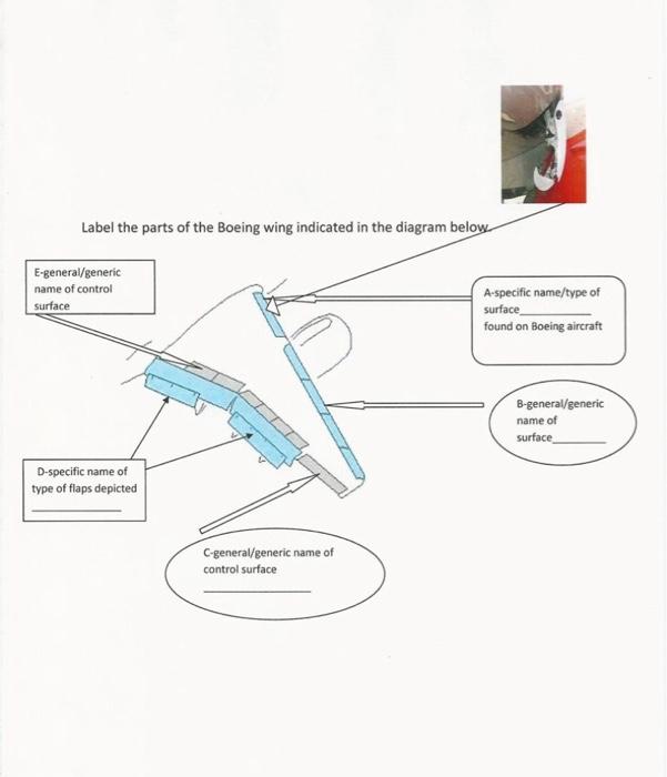 Solved Label the parts of the Boeing wing indicated in the | Chegg.com