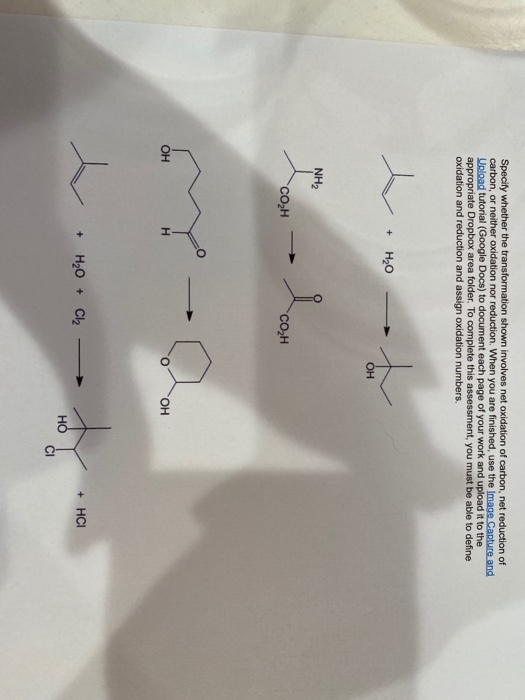 Solved Specify whether the transformation shown involves net | Chegg.com