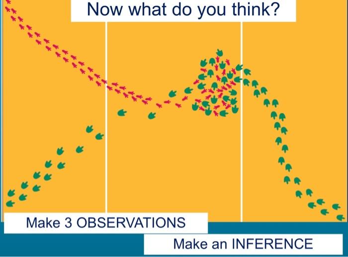 Solved Look at these two sets of animal tracks. List 3 | Chegg.com